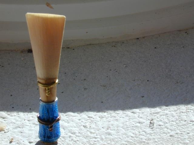 Reeds – Arundo Research Company